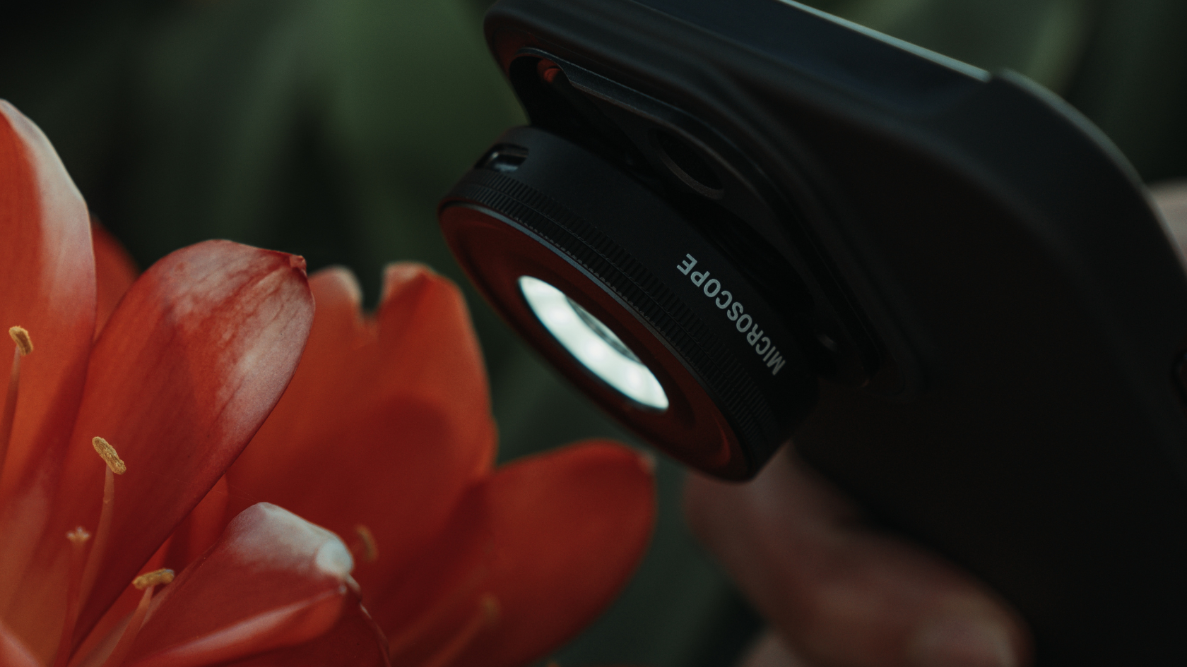 How to Focus Your SANDMARC Macro and Microscope Lens