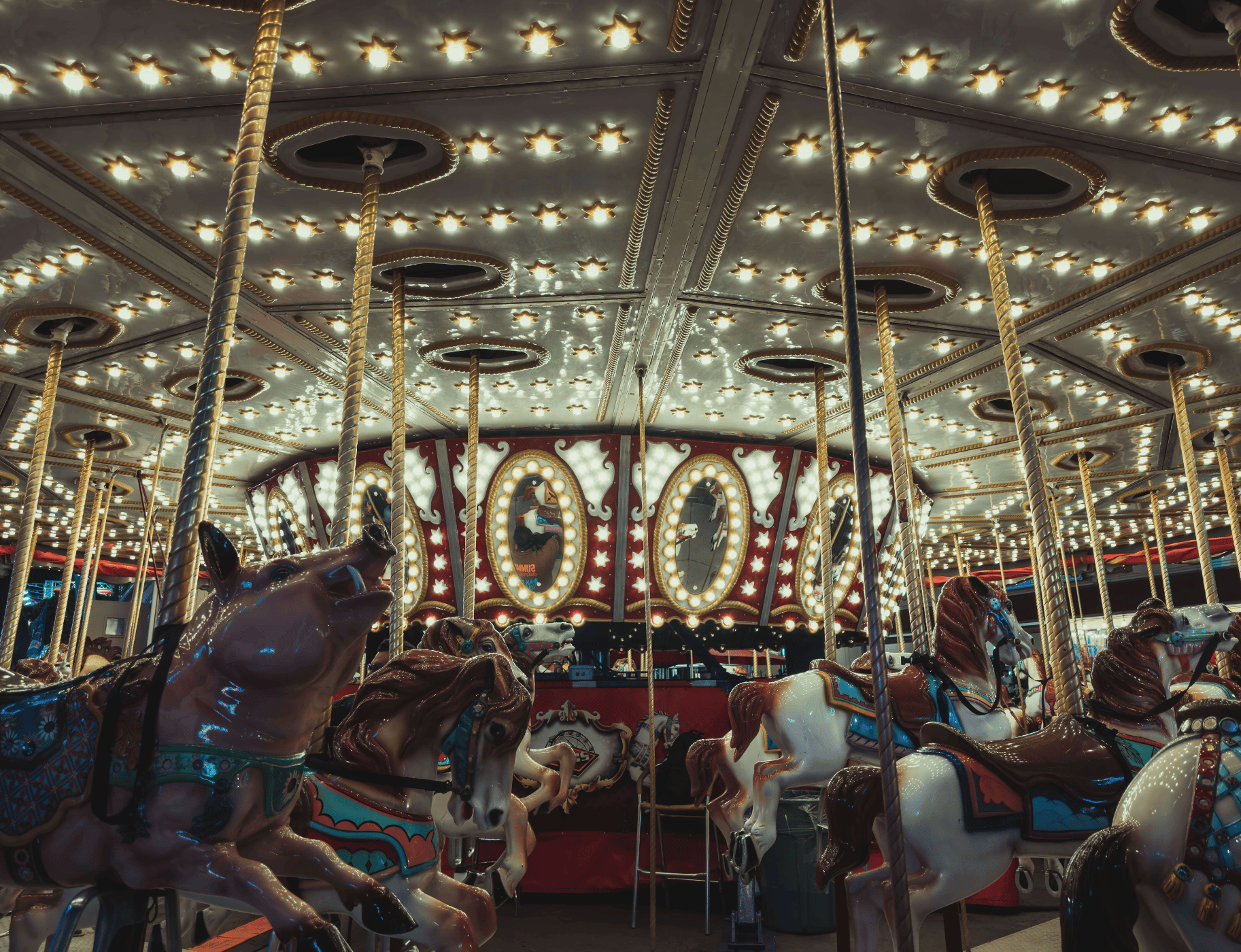 Wide Angle Lens: Why You Need One