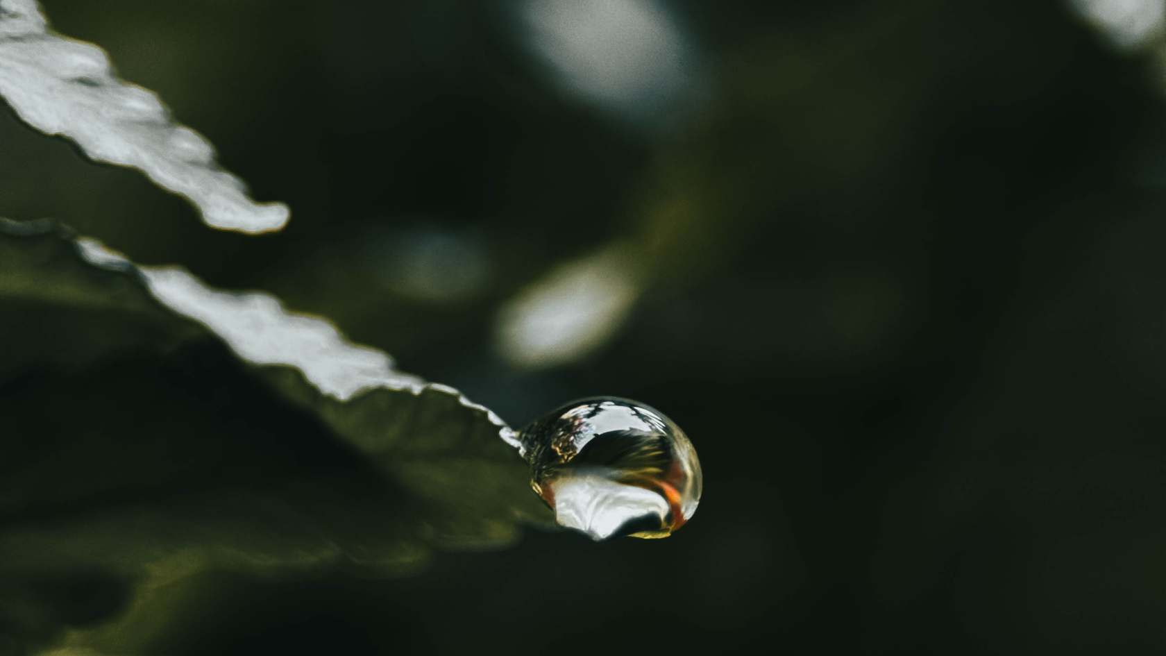 Understanding Aperture for iPhone