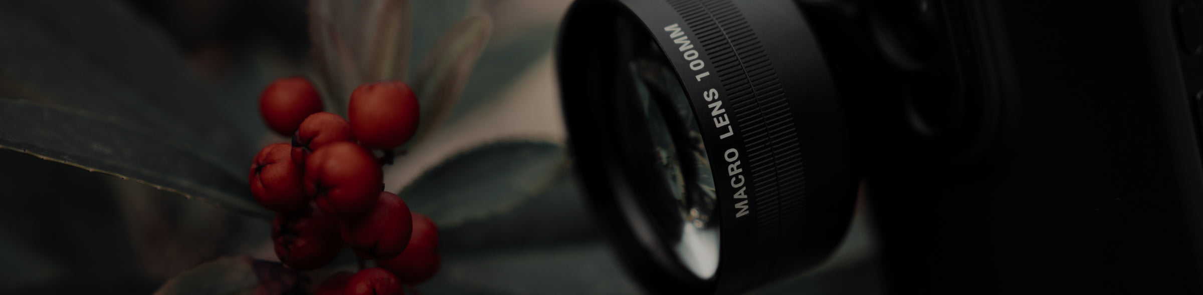 Macro Lens Collection for iPhone - SANDMARC