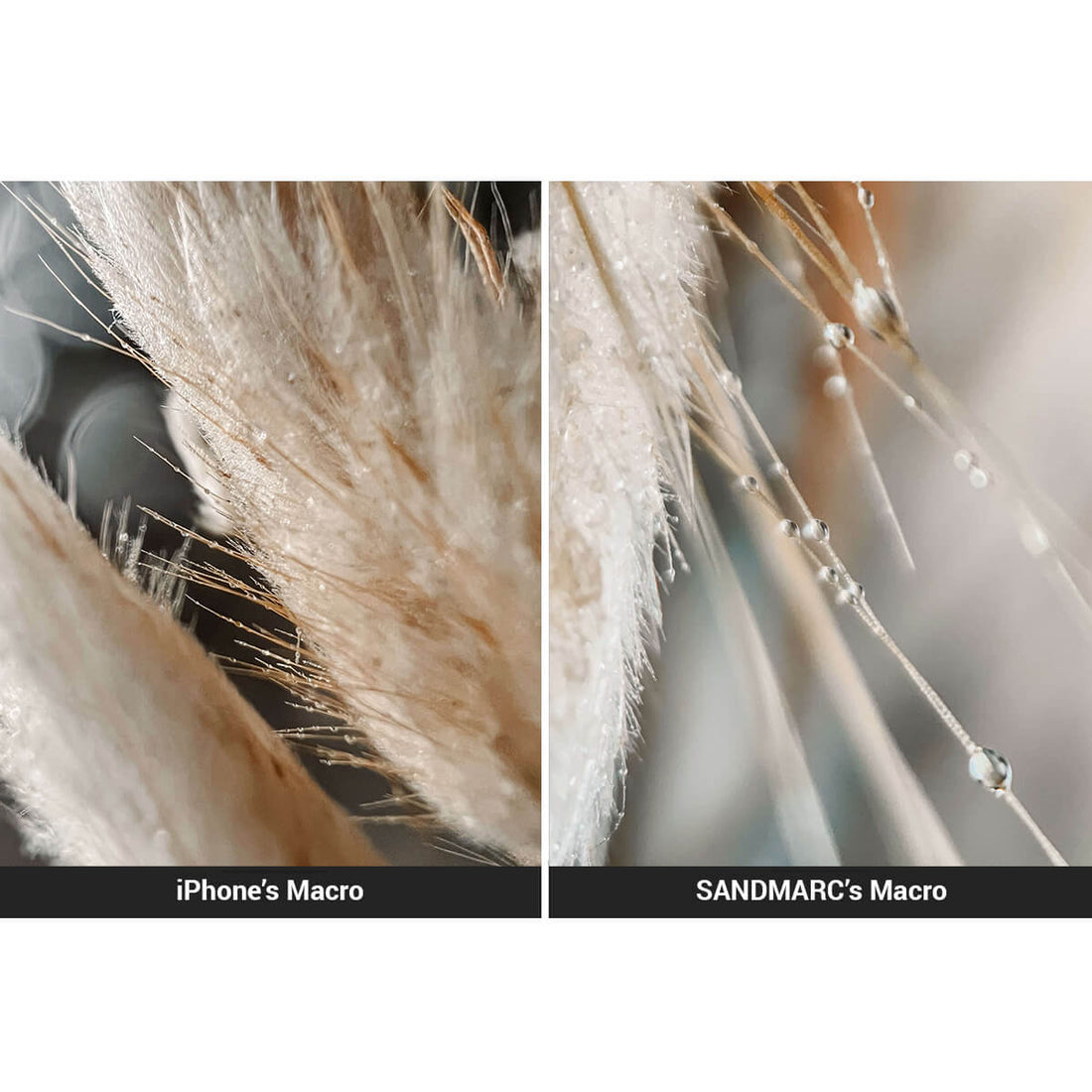 iPhone 14 Pro Max Macro Lens - SANDMARC